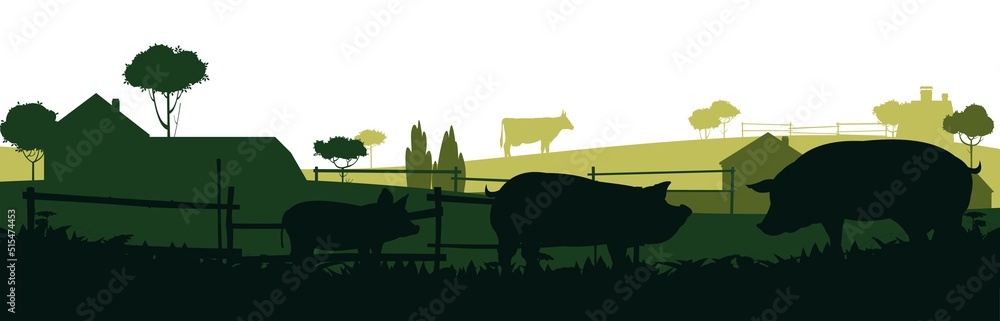Pigs graze in pasture. Picture silhouette. Farm pets. Rural landscape ...