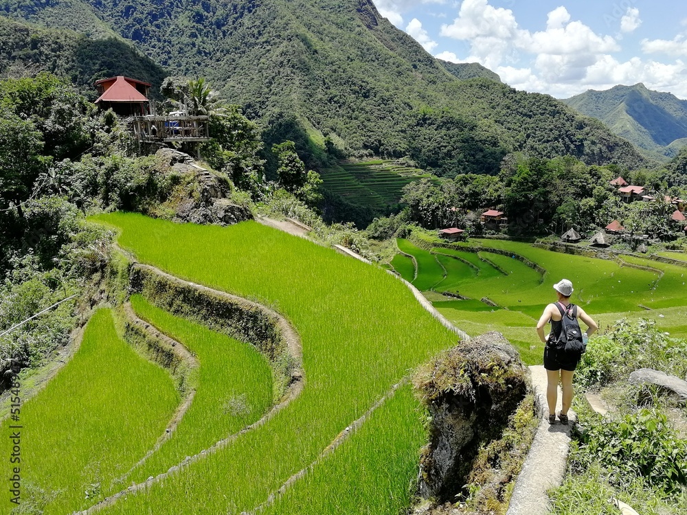 Rice Terraces of the Philippine Cordilleras, rice fields in Banaue ...
