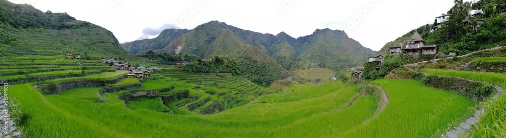 Rice Terraces of the Philippine Cordilleras, rice fields in Banaue ...