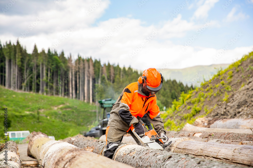 Woodcutter lumberjack is man chainsaw tree. Woodcutter saws tree ...
