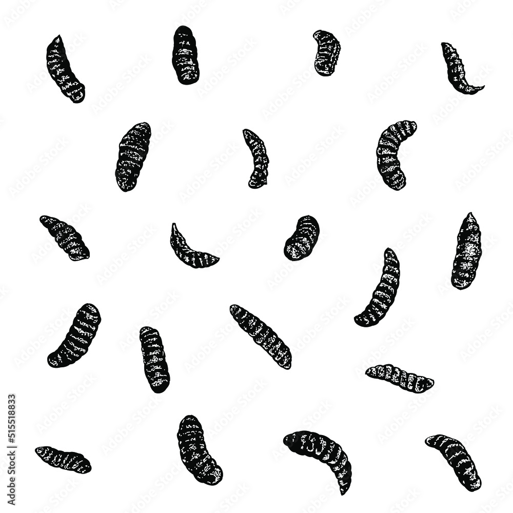 maggot hand drawing vector illustration isolated on background Stock ...