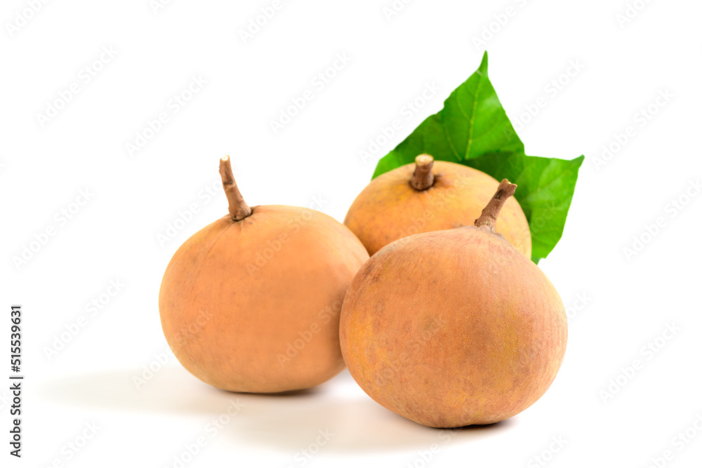 santol fruit isolated on white background, the famous fruit of Lop Buri ...