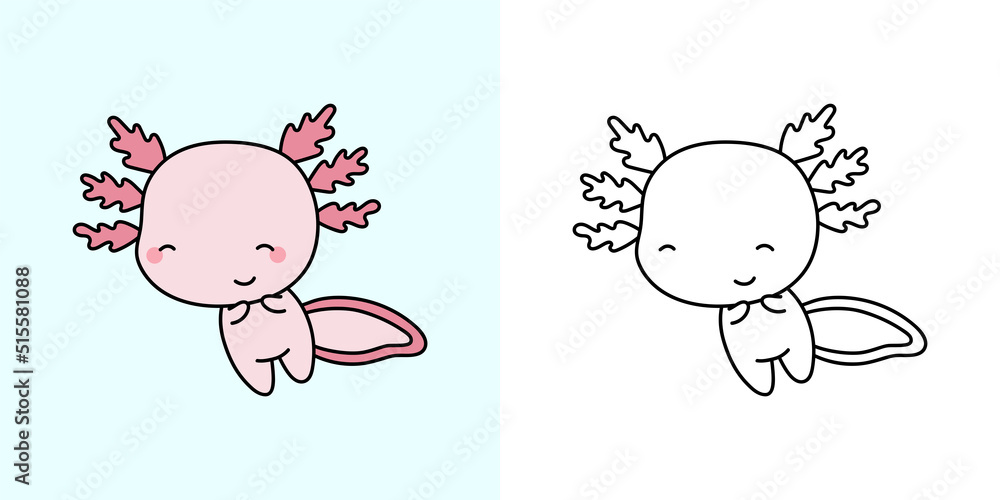 Axolotl Clipart Multicolored and Black and White. Beautiful Clip Art ...