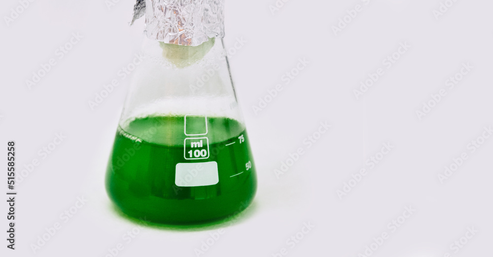 Foto de Algae research in laboratories, biotechnology science concept ...