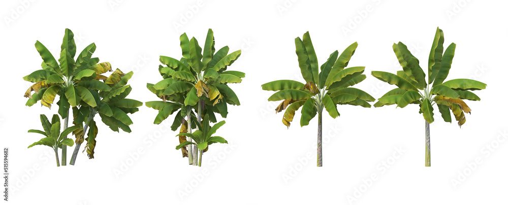 Many trees on a white background Stock Illustration | Adobe Stock