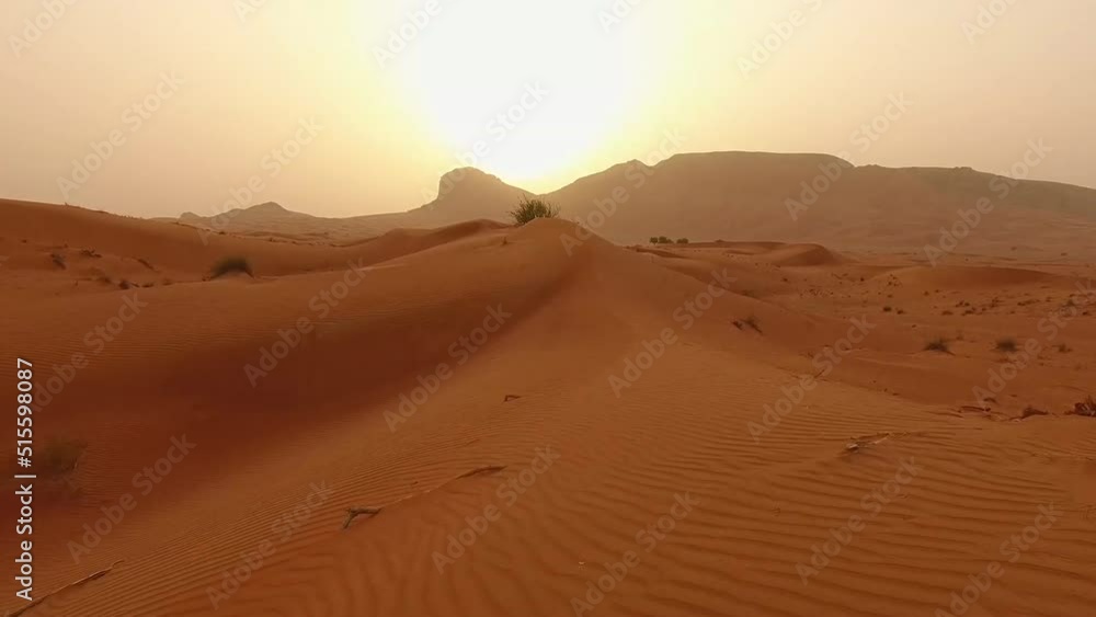 Gorgeous sunset aerial view with lone trees in the Sahara Desert, Saudi ...