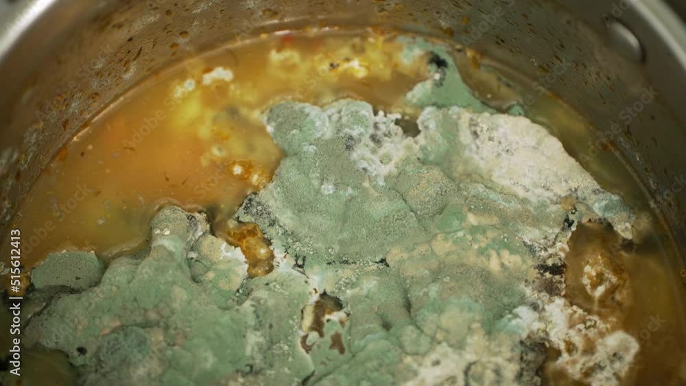 moldy soup. thick layer of mold on food. pot with rotten food. mushroom ...