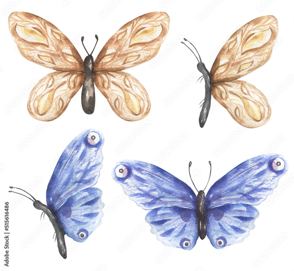 Delicate beige and blue butterfly Clipart Set, Watercolor Insects ...
