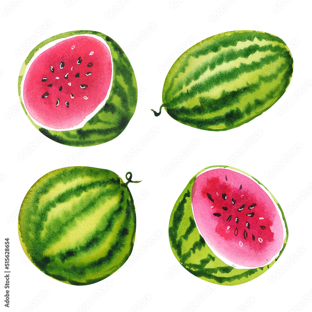 watercolor set of clipart watermelon hand painted illustration for ...