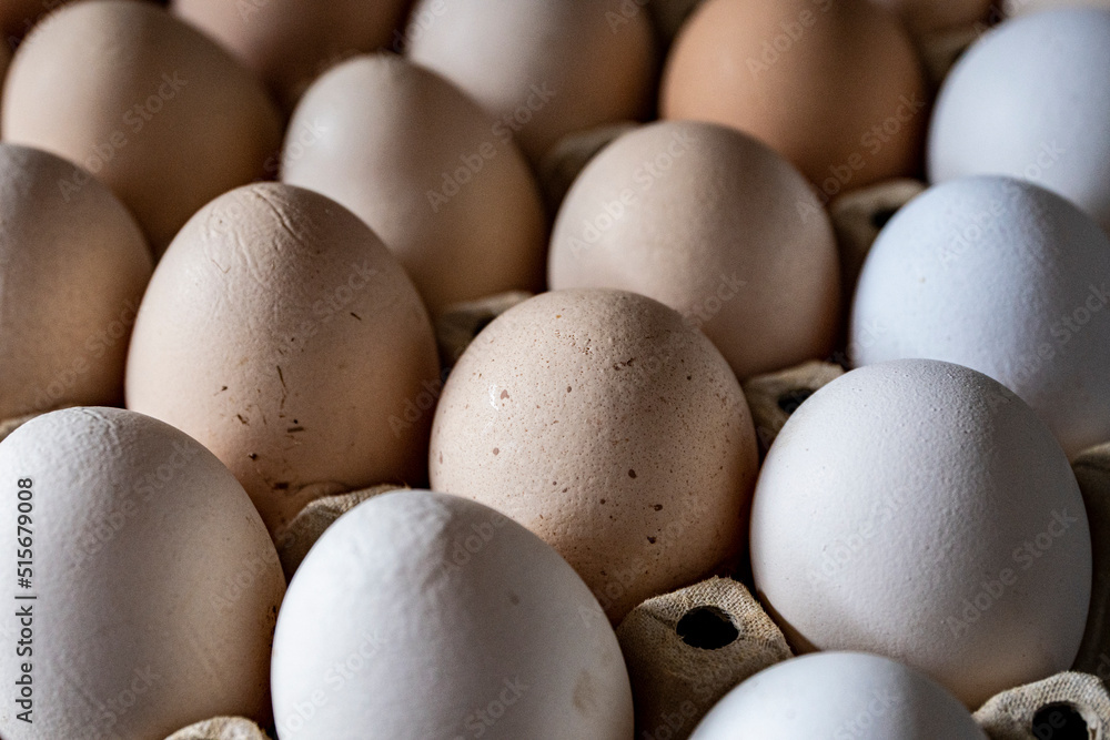 Jajka, Kurze jajka, zdrowe jajka, Jajka w pojemniku, jajka od zdrowych ...