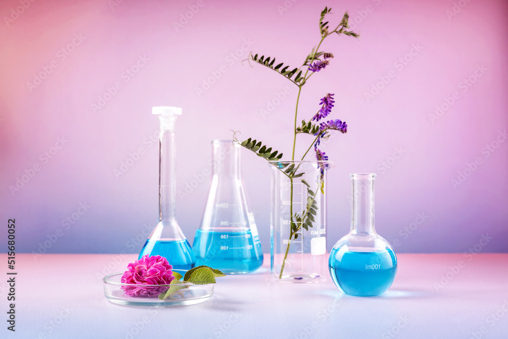 laboratory beakers with reagents, a sprig of mouse peas and a rosehip ...