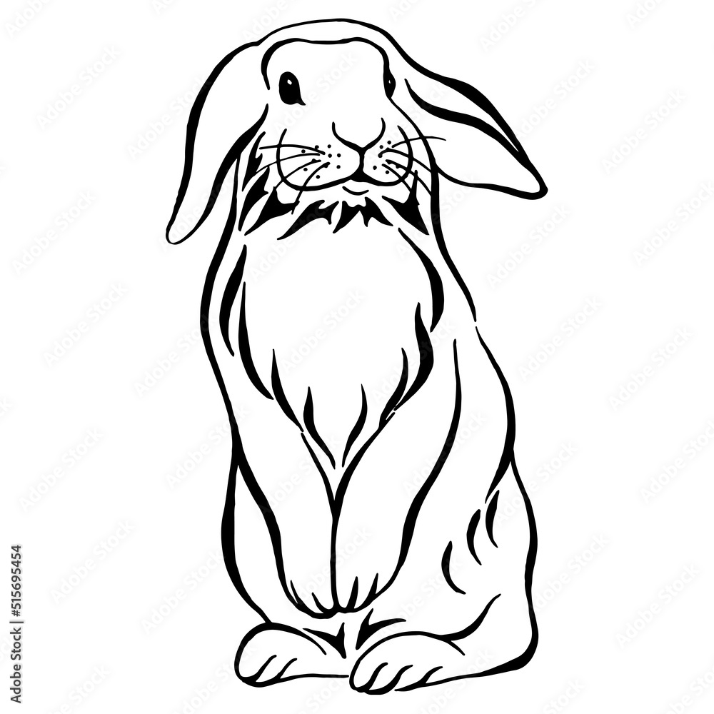 Cute rabbit on hind legs drawing. Sketch of a domestic rabbit. Linear ...