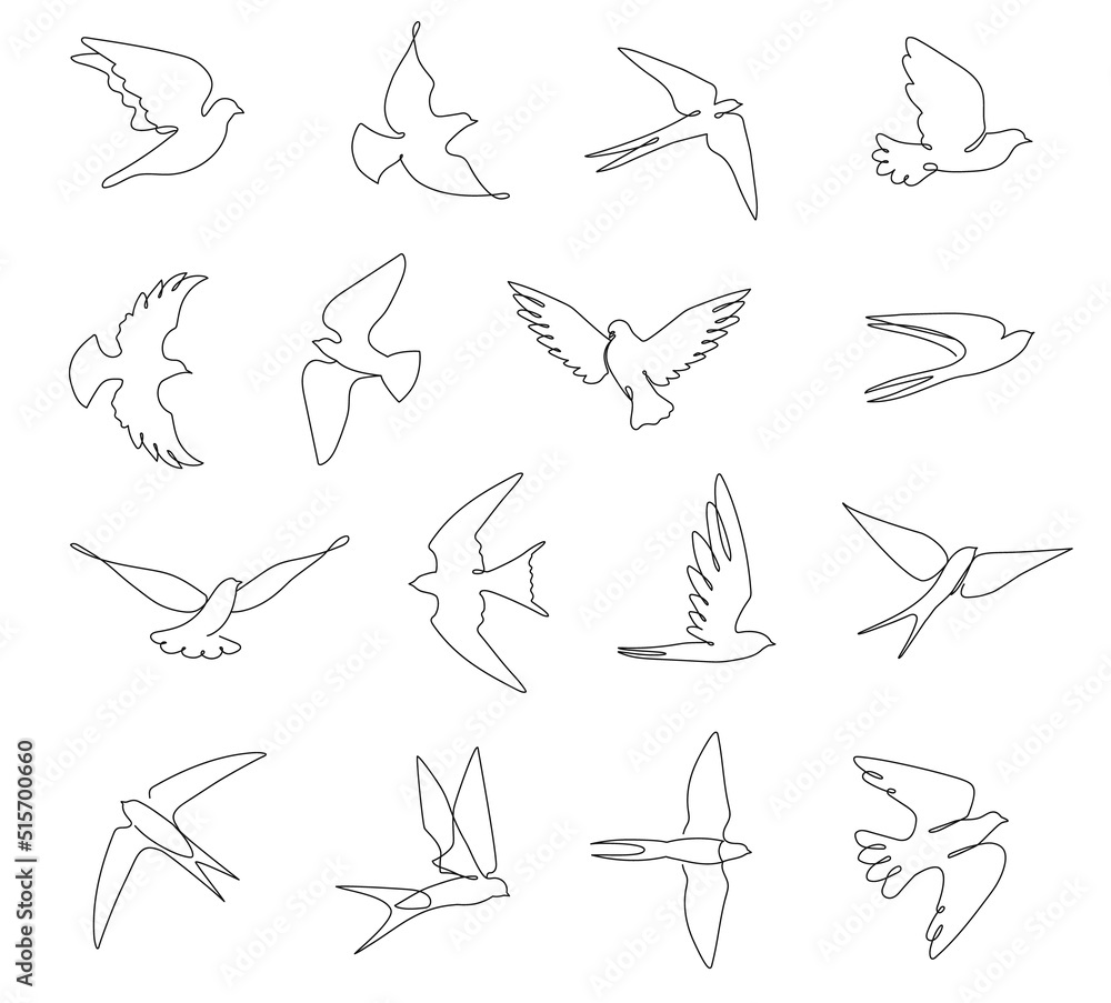 Continuous line birds. Flying swallow, doves and abstract bird with ...