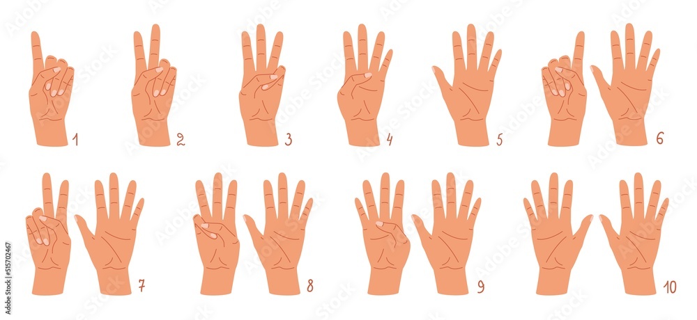 Cartoon hands count gesture, human wrist finger numbers. Vector ...
