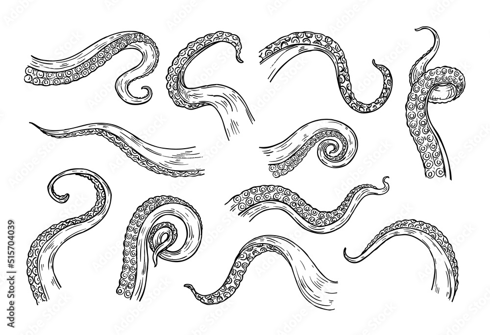 Vecteur Stock Octopus tentacles engraving. Hand drawn tentacle of underwater squid animal ...