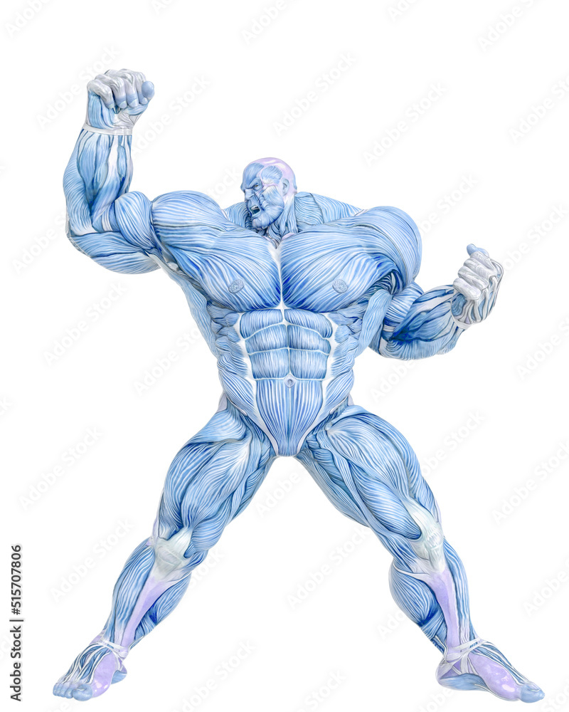 muscle maps of a strong man doing a super power pose Stock Illustration ...