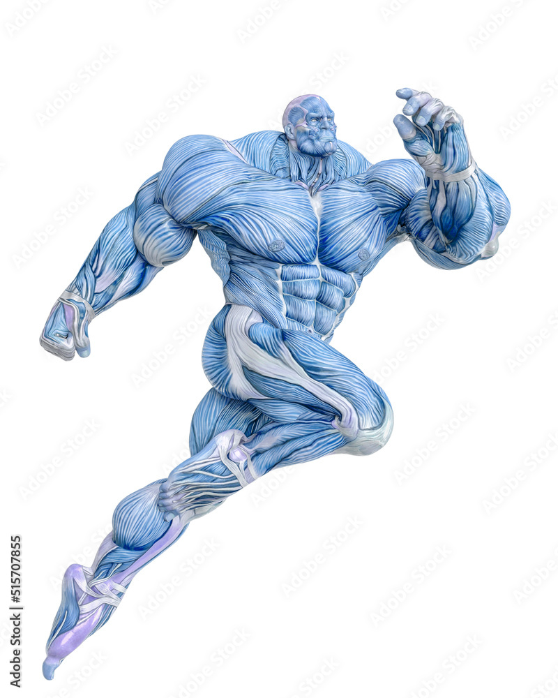 muscle maps of a strong man running Stock Illustration | Adobe Stock