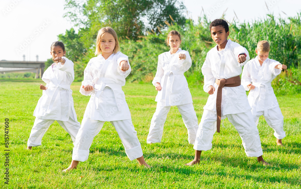 Barefoot kids doing kata during outdoor karate training. Stock Photo ...