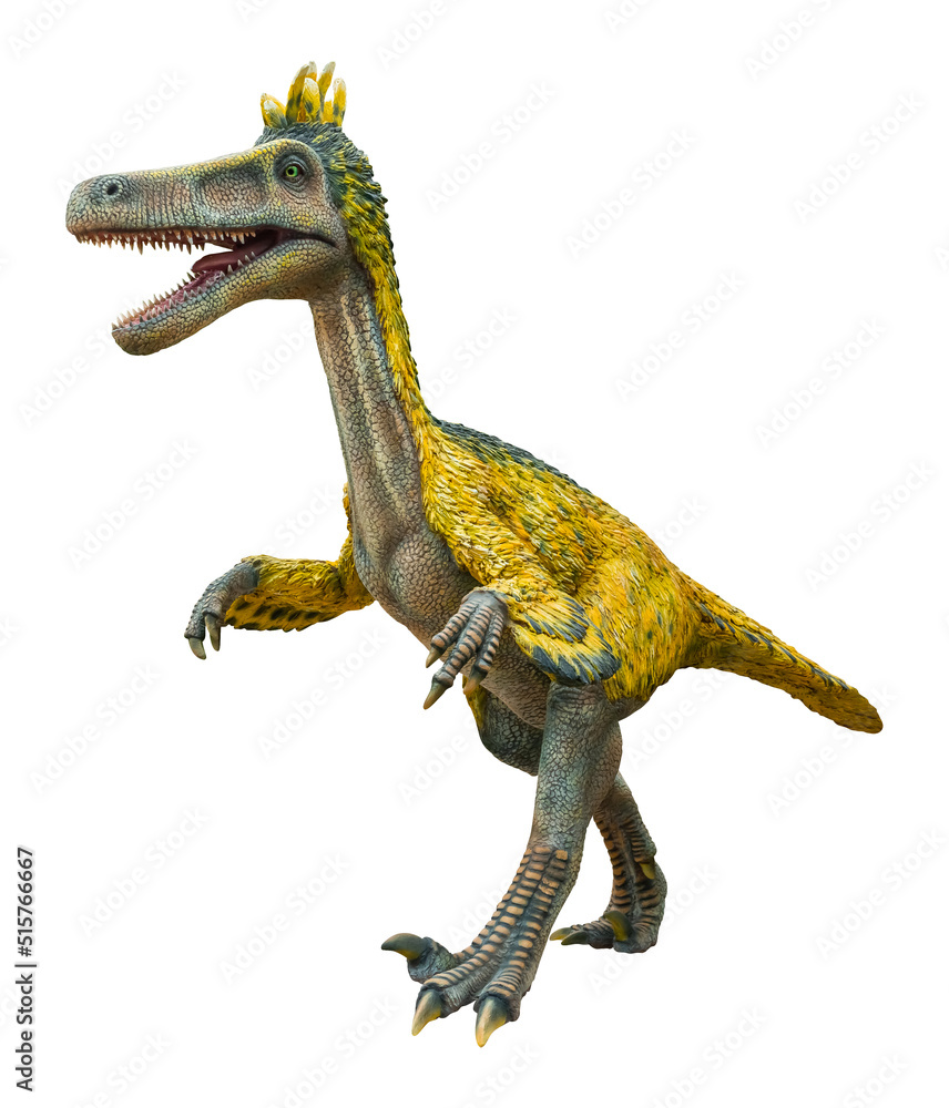 Austroraptor is a genus of dromaeosaurid theropod dinosaur that lived ... Austroraptor is a genus of dromaeosaurid theropod dinosaur that lived ...