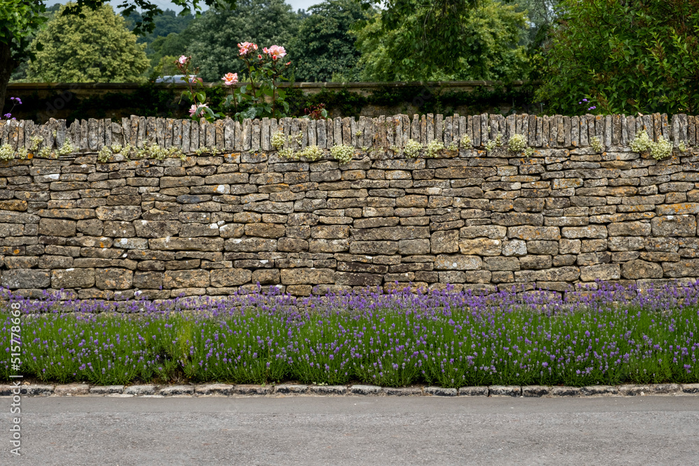 Lavender hedge against an old stone wall at Bourton House gardens ...