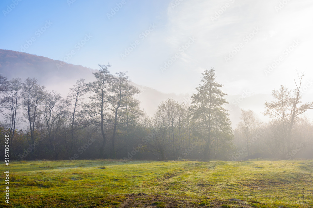 mountainous rural landscape on a misty sunrise. gorgeous fall nature ...