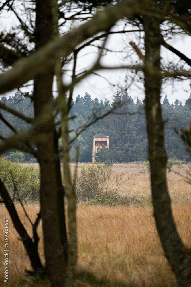 wooden tower in forest Stock Photo | Adobe Stock