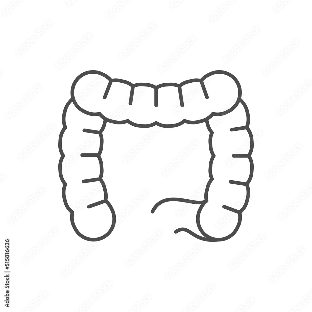 Human intestines line outline icon Stock Vector | Adobe Stock
