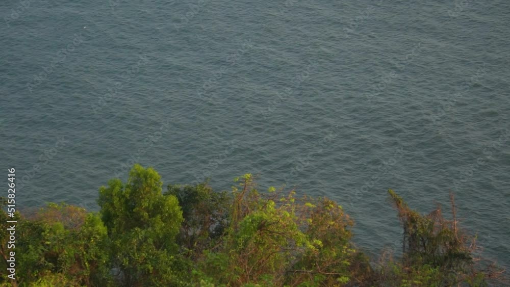 Vidéo Stock Full frame shot of trees in front of the blue Arabian sea ...