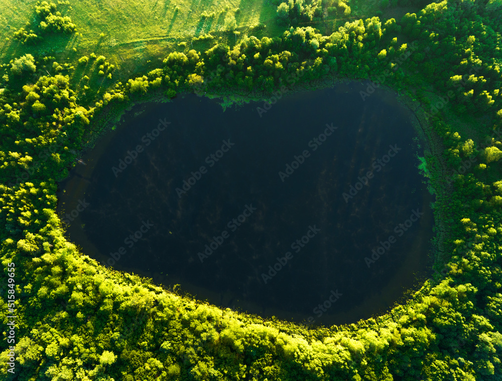 Pond for livestock at the farm. Pond in forest, top view. Village pond ...