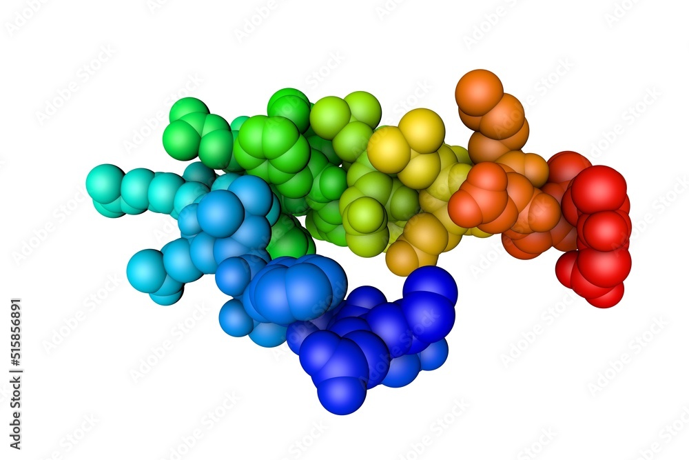 Structure of P53 tumor suppressor. Space-filling molecular model ...