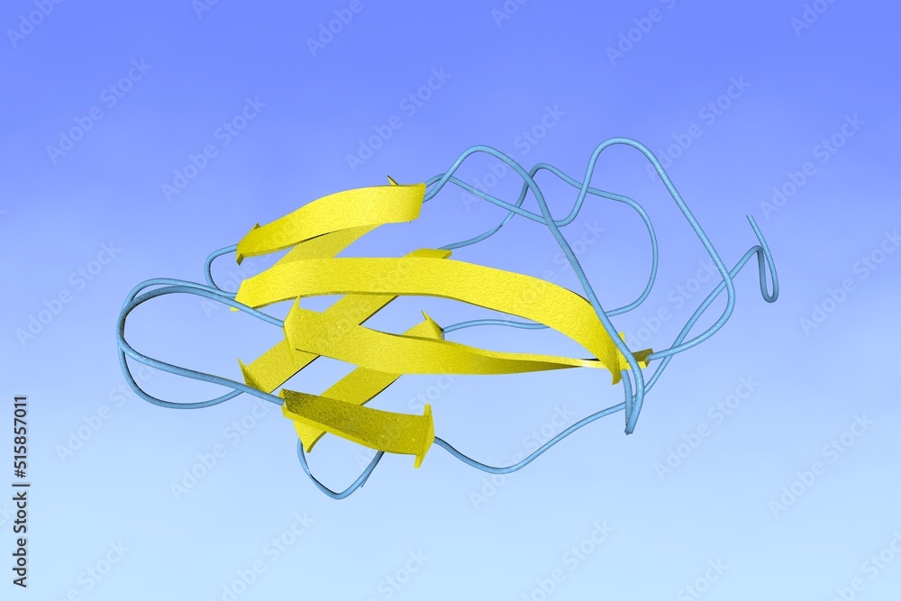 Fold of the core binding factor alpha. Ribbons diagram in secondary ...