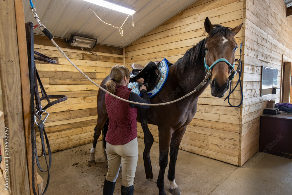 Woman putting a saddle on her horse in a stall Stock Photo | Adobe Stock