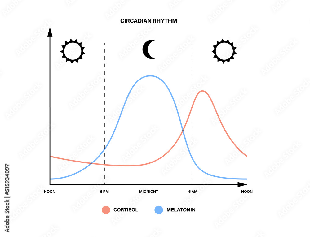 Sleep wake cycle Stock Vector | Adobe Stock