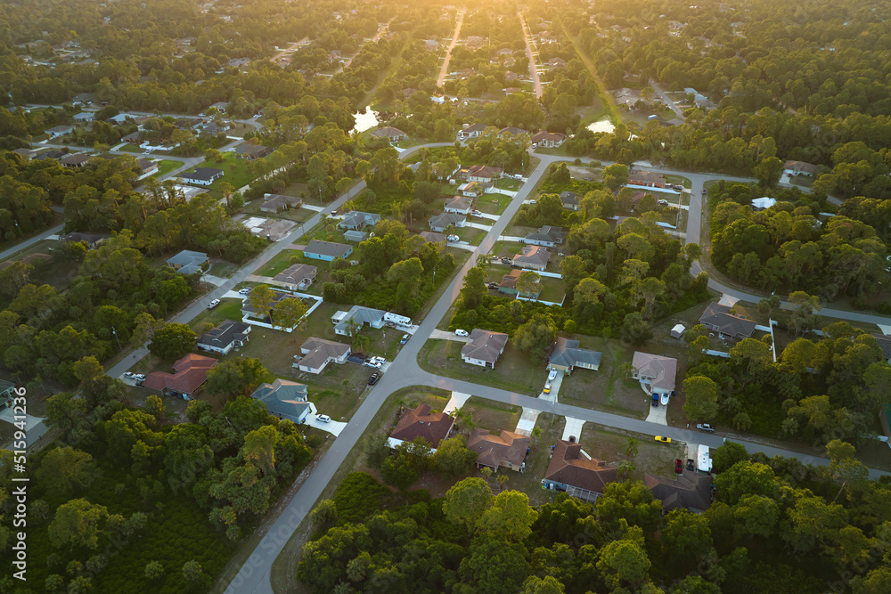 Aerial view of suburban landscape with private homes between green palm ...