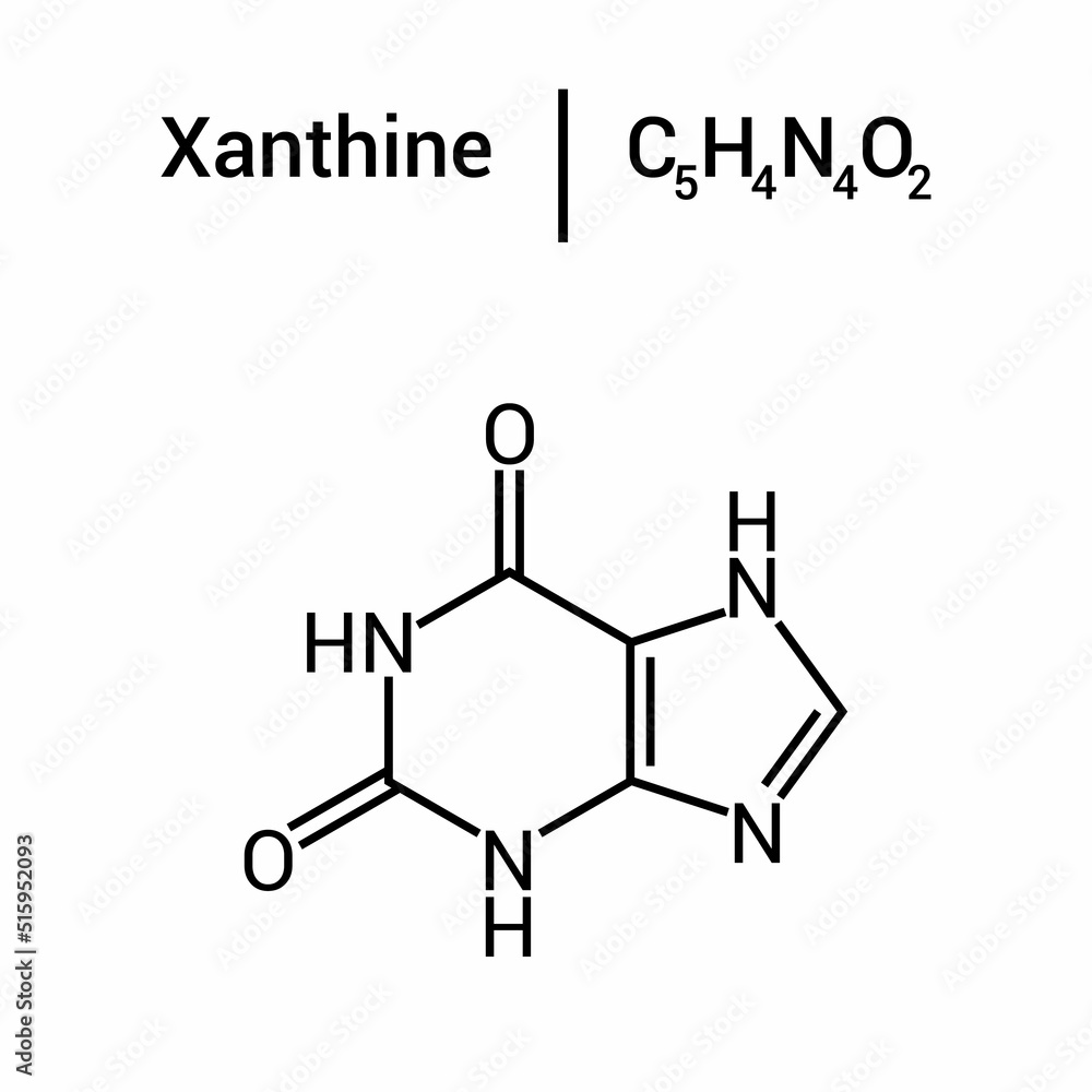 chemical structure of xanthine (C5H4N4O2) Stock Vector | Adobe Stock