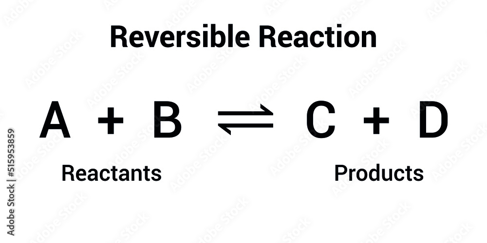 Reversible Reaction