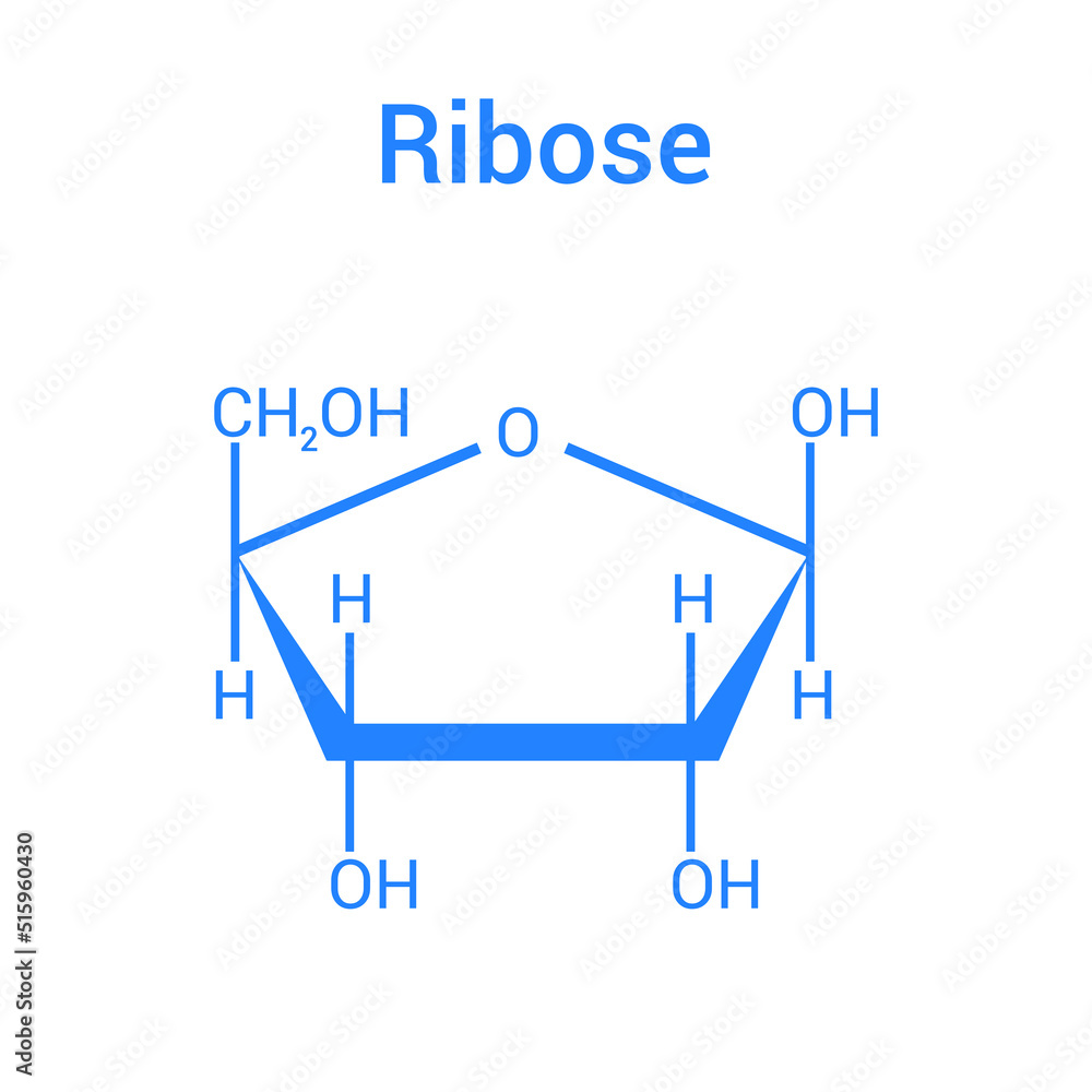 Vetor de chemical structure of Ribose (C5H10O5) do Stock | Adobe Stock