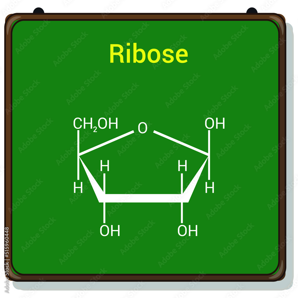 Vetor de chemical structure of Ribose (C5H10O5) do Stock | Adobe Stock