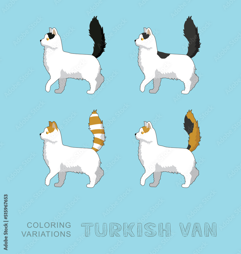 Cat Turkish Van Coloring Variations Vector Illustration Stock Vector ...
