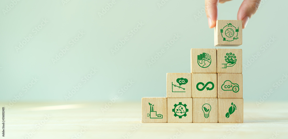 Growing sustainability. LCA-Life cycle assessment concept. Assessing ...