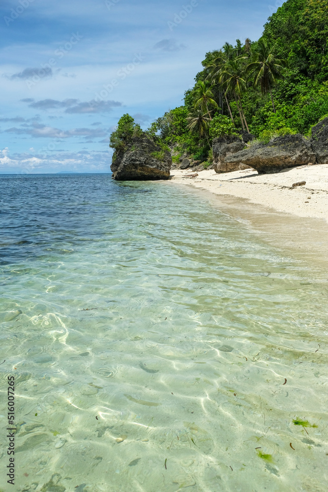 Views of Monkey Beach on Siquijor Island, located in the Central ...