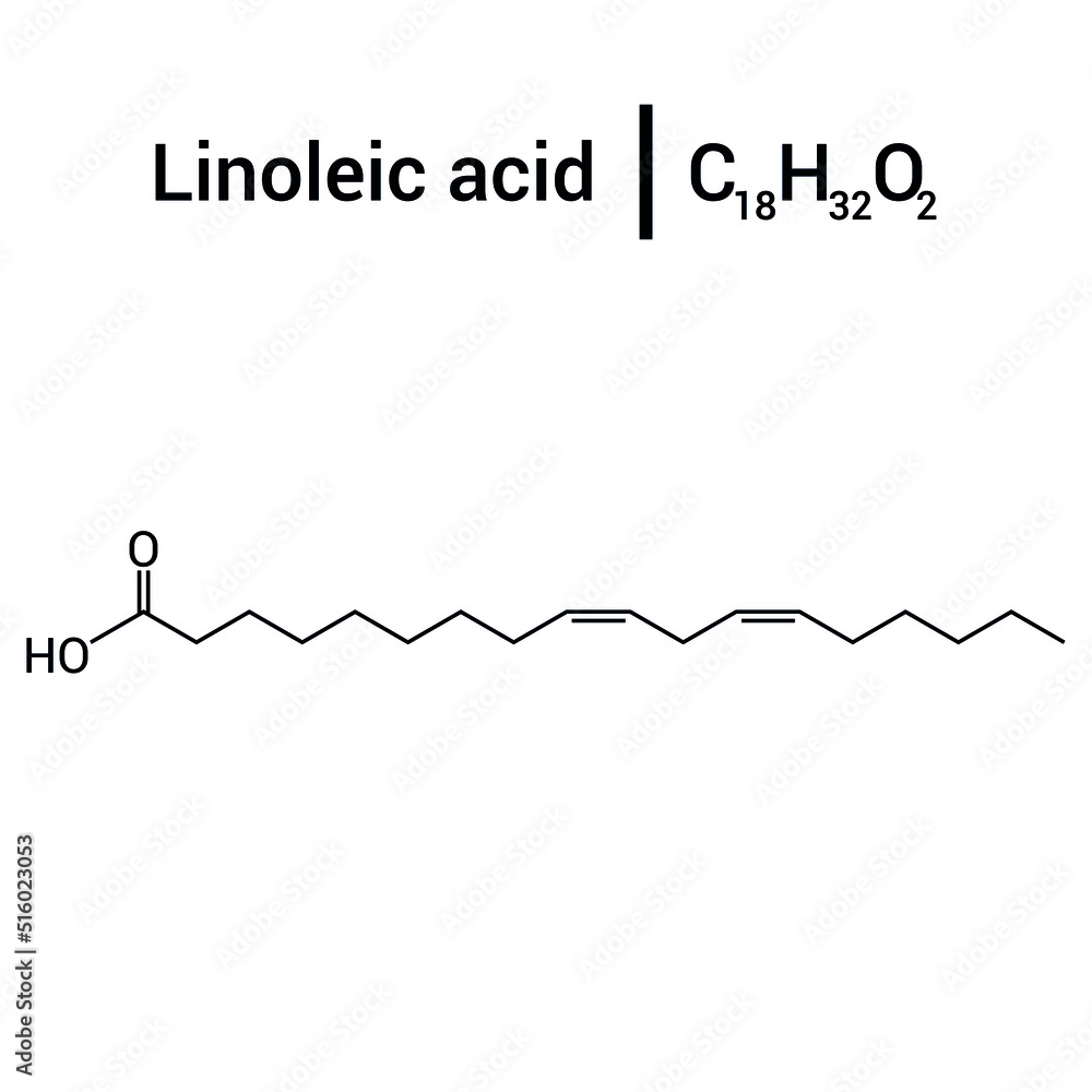 chemical structure of linoleic acid (C18H32O2) vector de Stock | Adobe ...