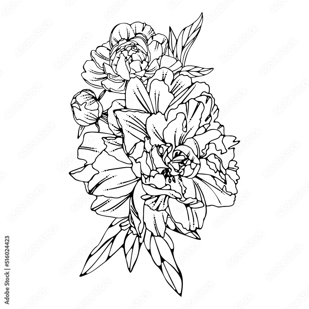 Elegant flower arrangement of line art peonies and leaves. Hand-drawn ...