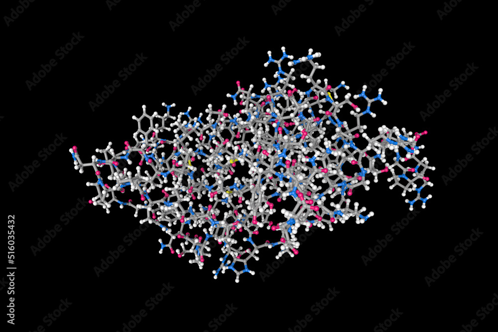 Fold of the core binding factor alpha. Atoms are shown as spheres with ...