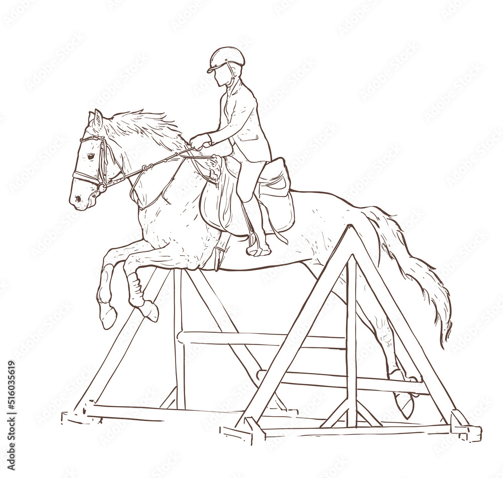 Young woman horseback riding training hand drawn illustration. Horse ...