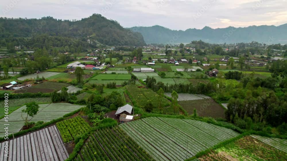 bali island indonesia rural remote village Asia vibes rice field ...