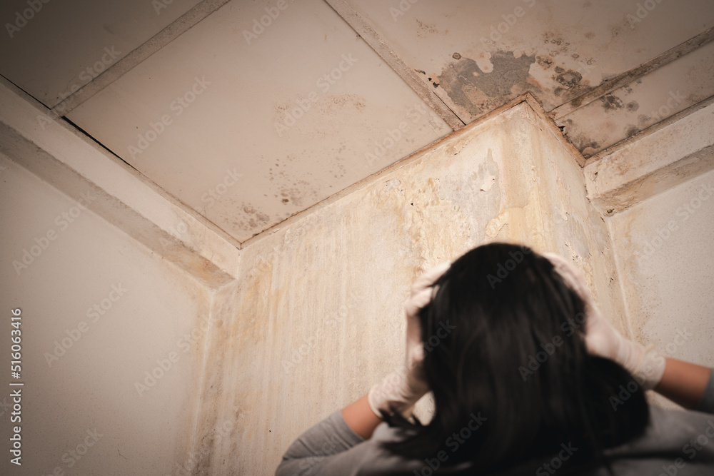 Stains,Mold or fungus of the wall in the Shower room causing black or ...