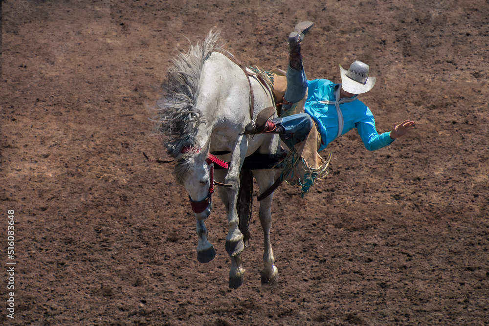 Foto Stock A Rodeo cowboy is falling off on the left side of a bucking ...