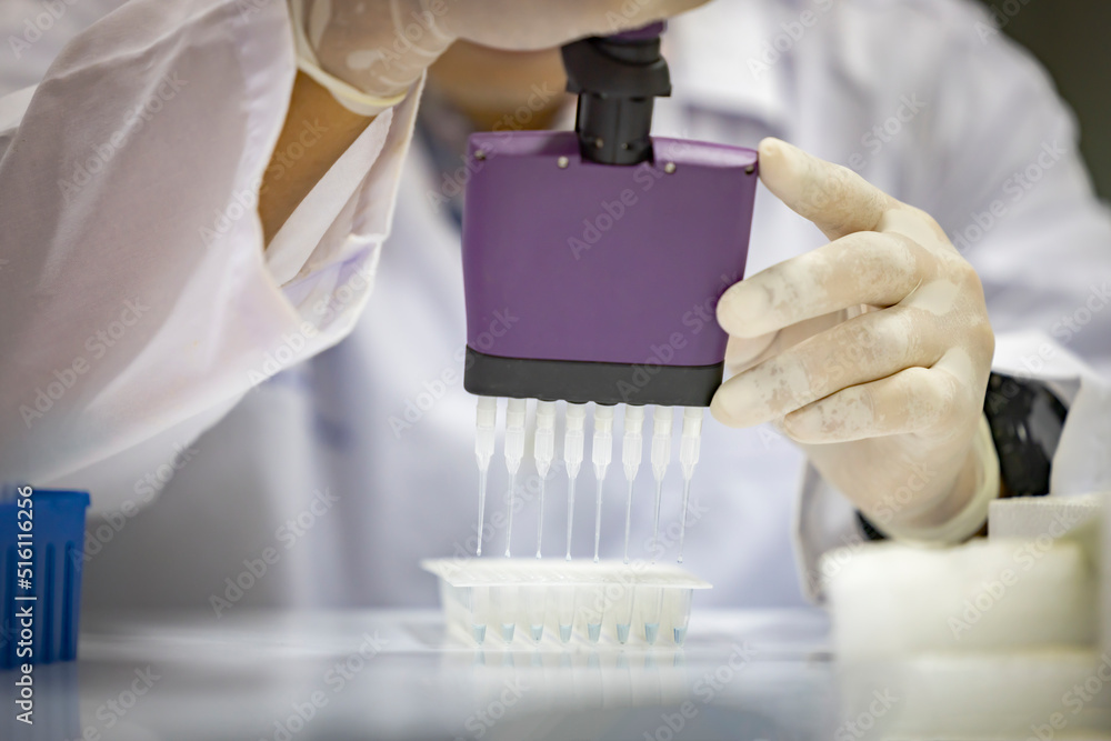 Foto de Scientist pipetting sample into vial for DNA testing. Scientist ...