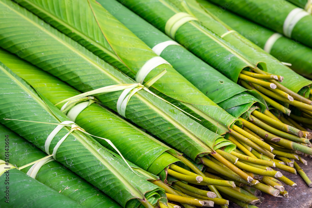 Green banana leaves used for wrapping food at the market in Belen ...
